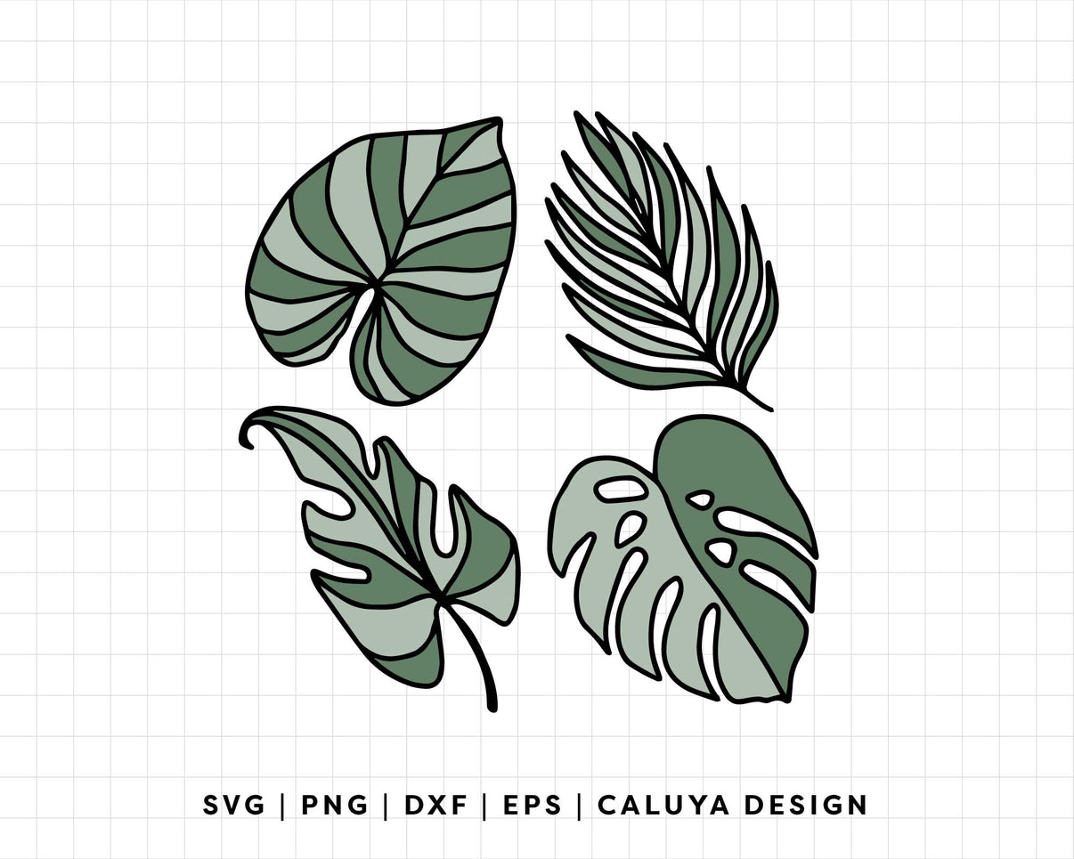 FREE Tropical Leaf SVG | Monstera SVG – Caluya Design