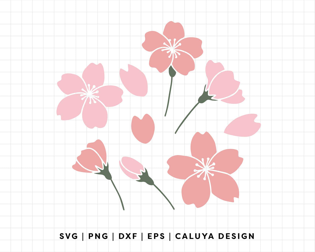 FREE Sakura SVG | Cherry Blossom SVG – Caluya Design