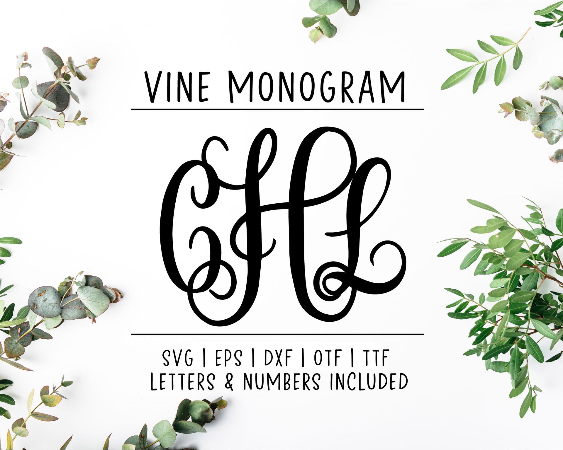 Monogram Vine Font Photographs