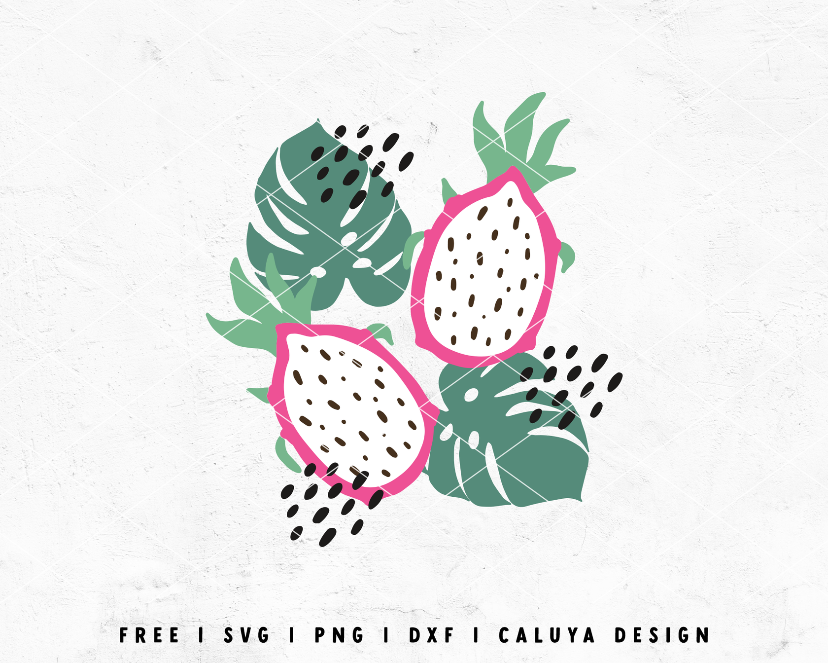 FREE Dragon Fruits SVG | Monstra SVG | Tropical SVG Cut File for Cricut ...