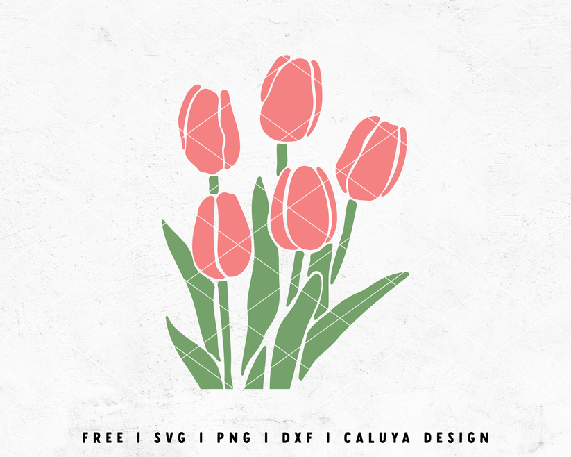 FREE Tulip SVG | Spring Flower SVG Cut File for Cricut, Cameo ...