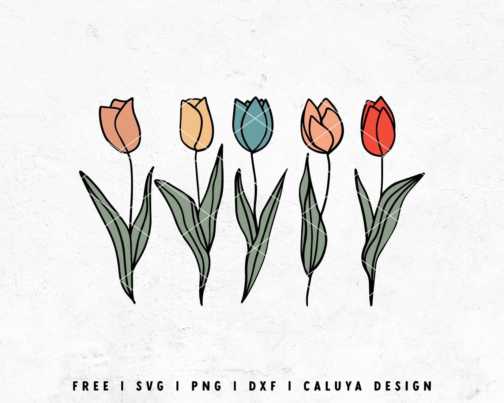 FREE Tulip SVG | Floral SVG | Flower SVG Cut File for Cricut, Cameo ...
