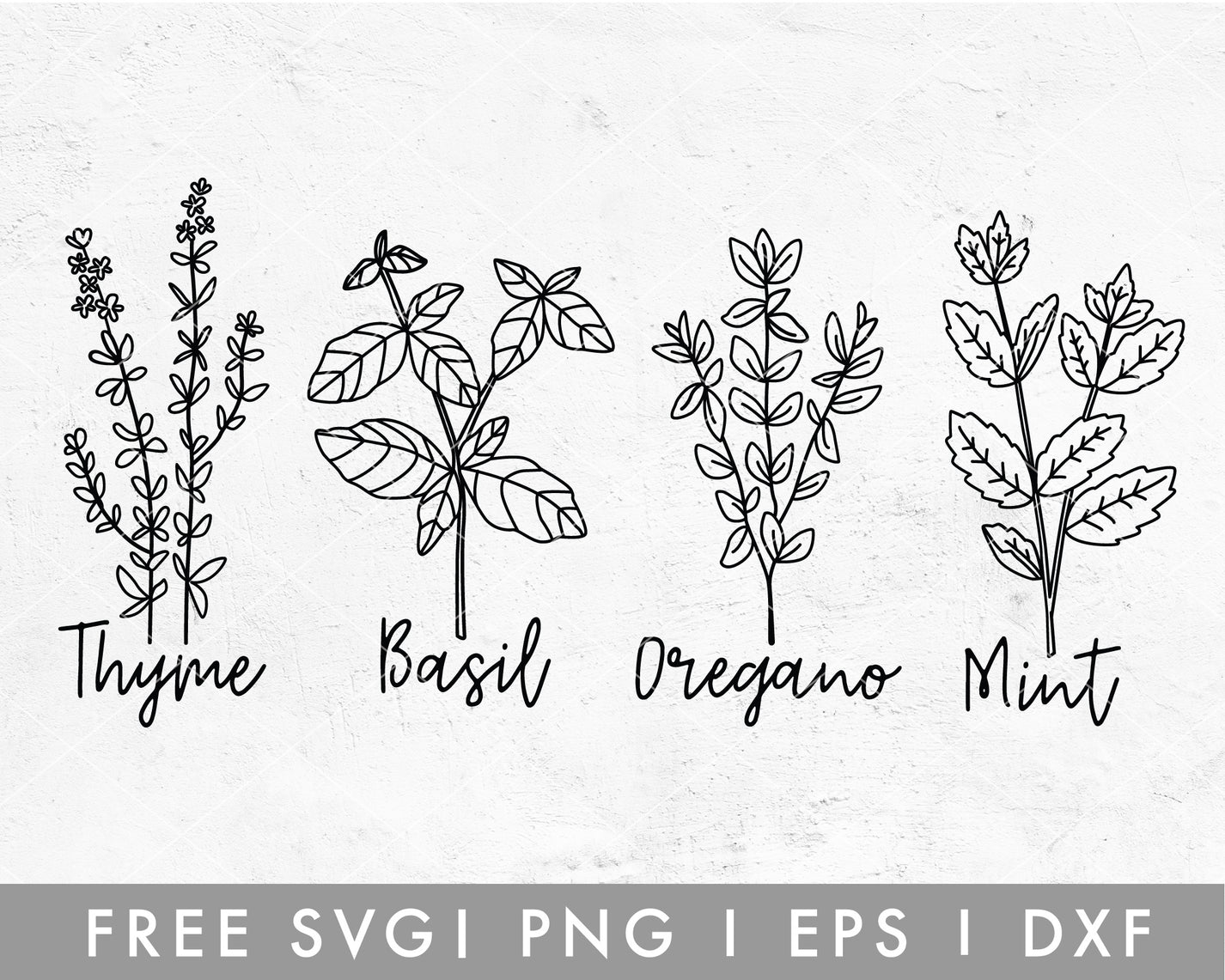 FREE Herbs SVG Cut File for Cricut, Cameo Silhouette – Caluya Design