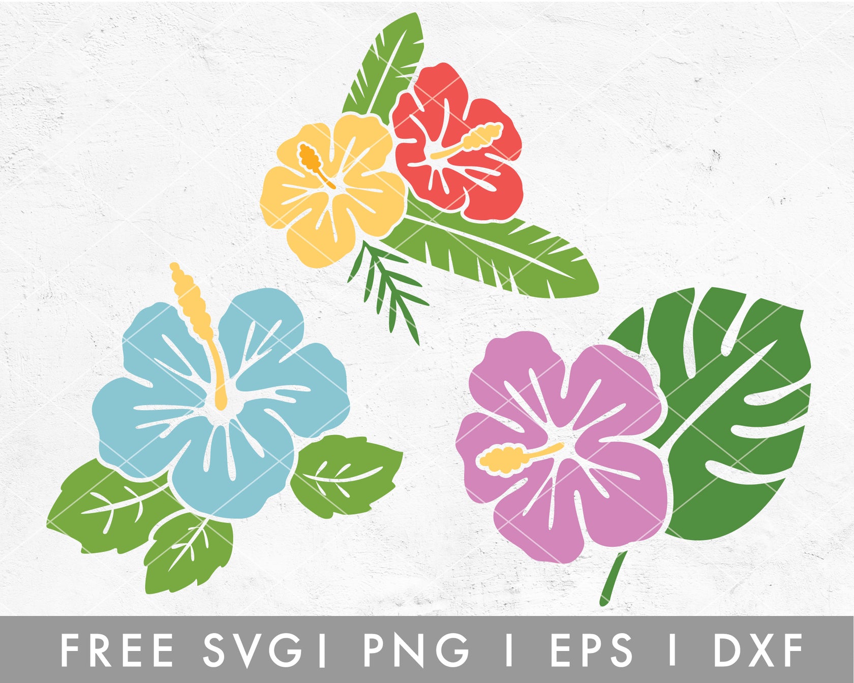 FREE Hibiscus SVG Cut File for Cricut, Cameo Silhouette – Caluya Design