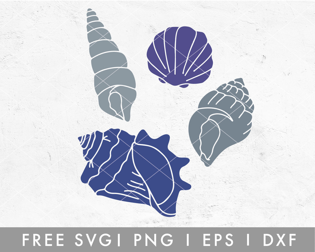 FREE Seashells SVG For Cricut, Cameo Silhouette – Caluya Design
